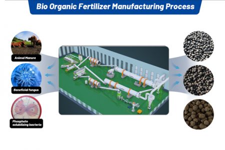 How to Make Biofertilizer from Animal Manure | CMPP